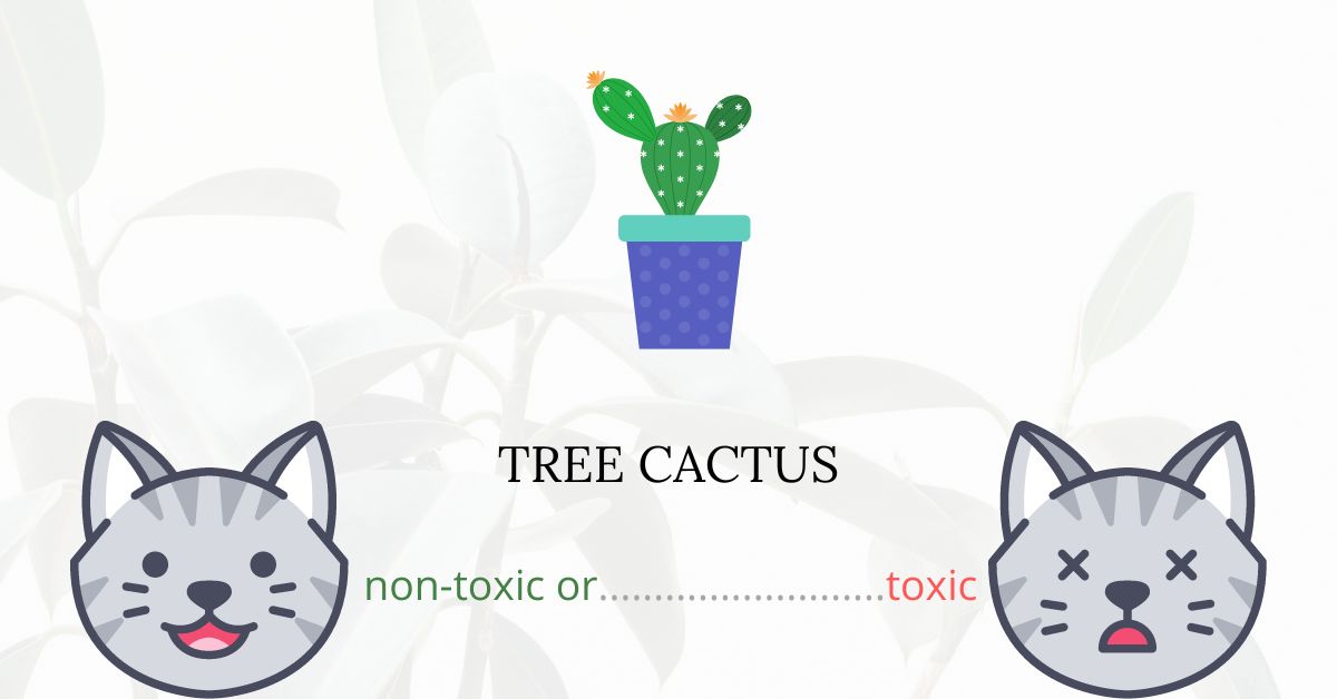 Is Tree Cactus or Prickly Pear Toxic For Cats?
